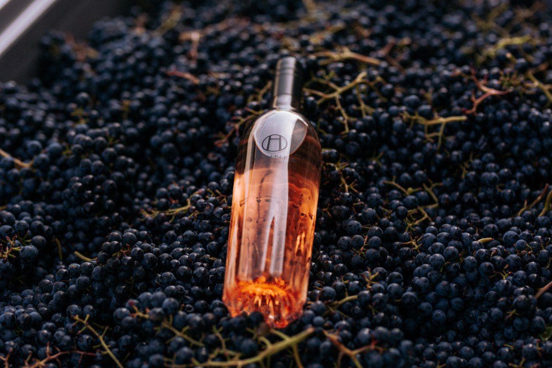 Hanni's: Rosé All Day, The Austrian Way - Stoelzle Glass Group